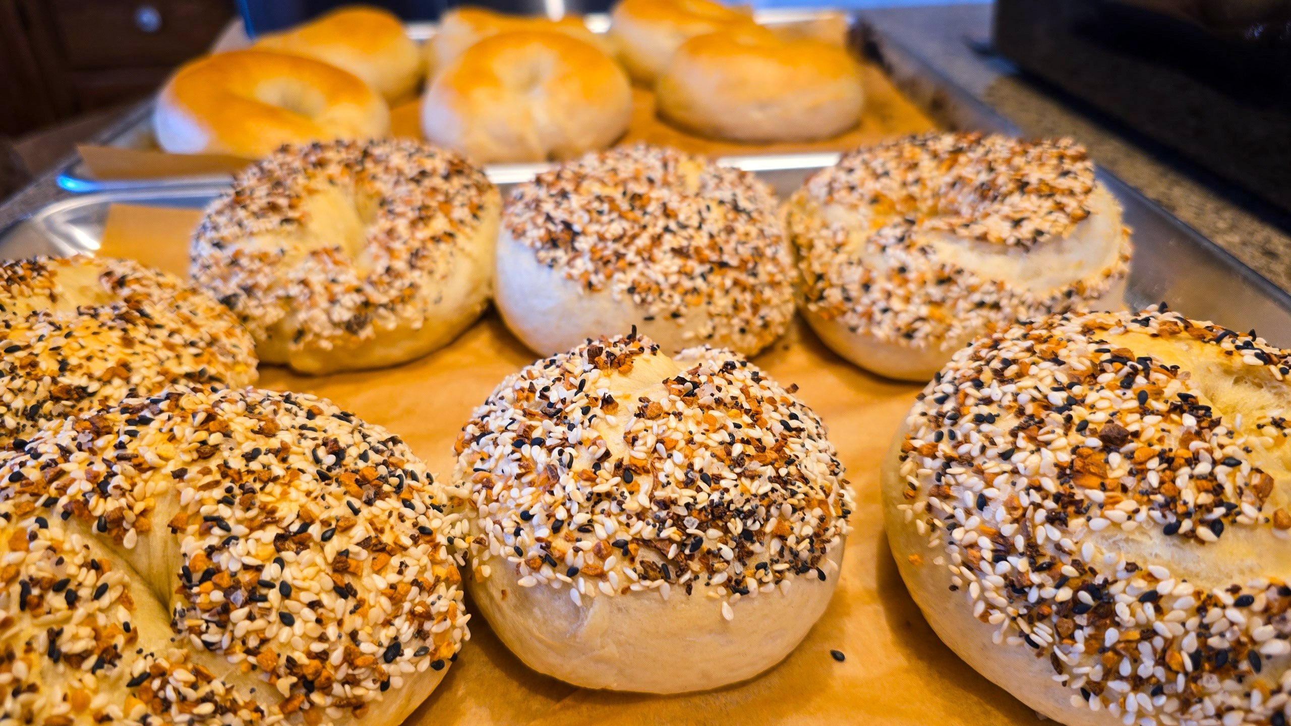 Mini Sourdough Bagels - 6 pack | Vinnie's Sourdough Bakery